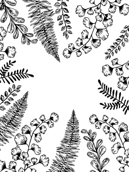 Leaves of plants engraving vector illustration Stock Vector Image by ...