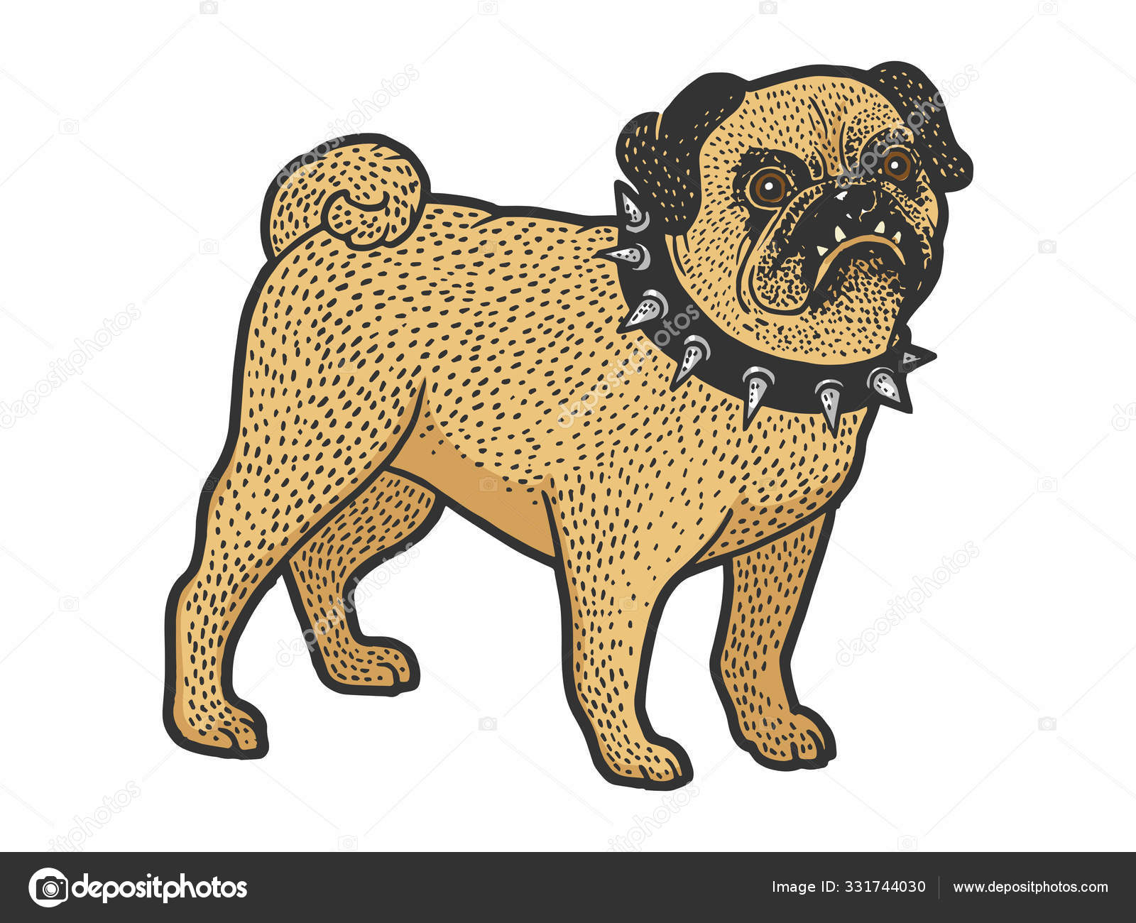 Angry evil pug pet dog in spiked collar sketch engraving vector ...