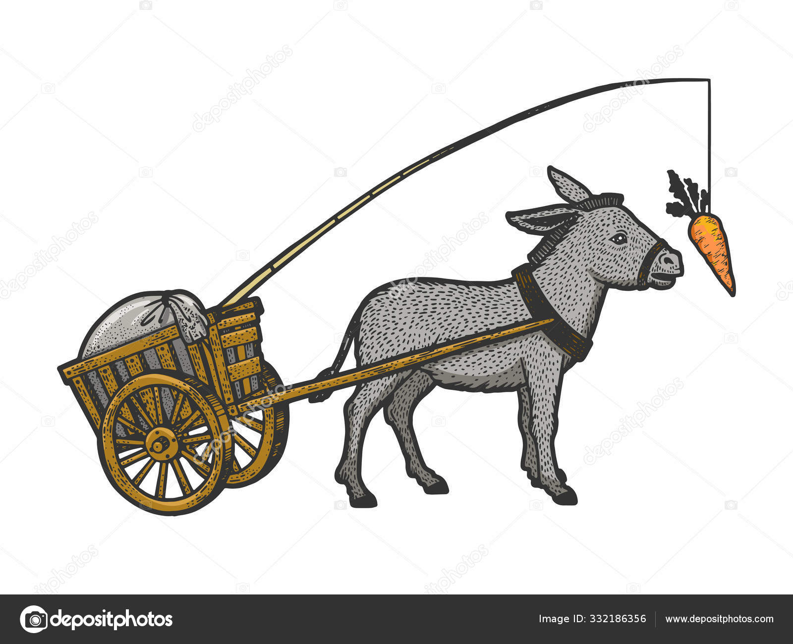 Donkey chasing carrot that is tied to him and drags cart with load ...