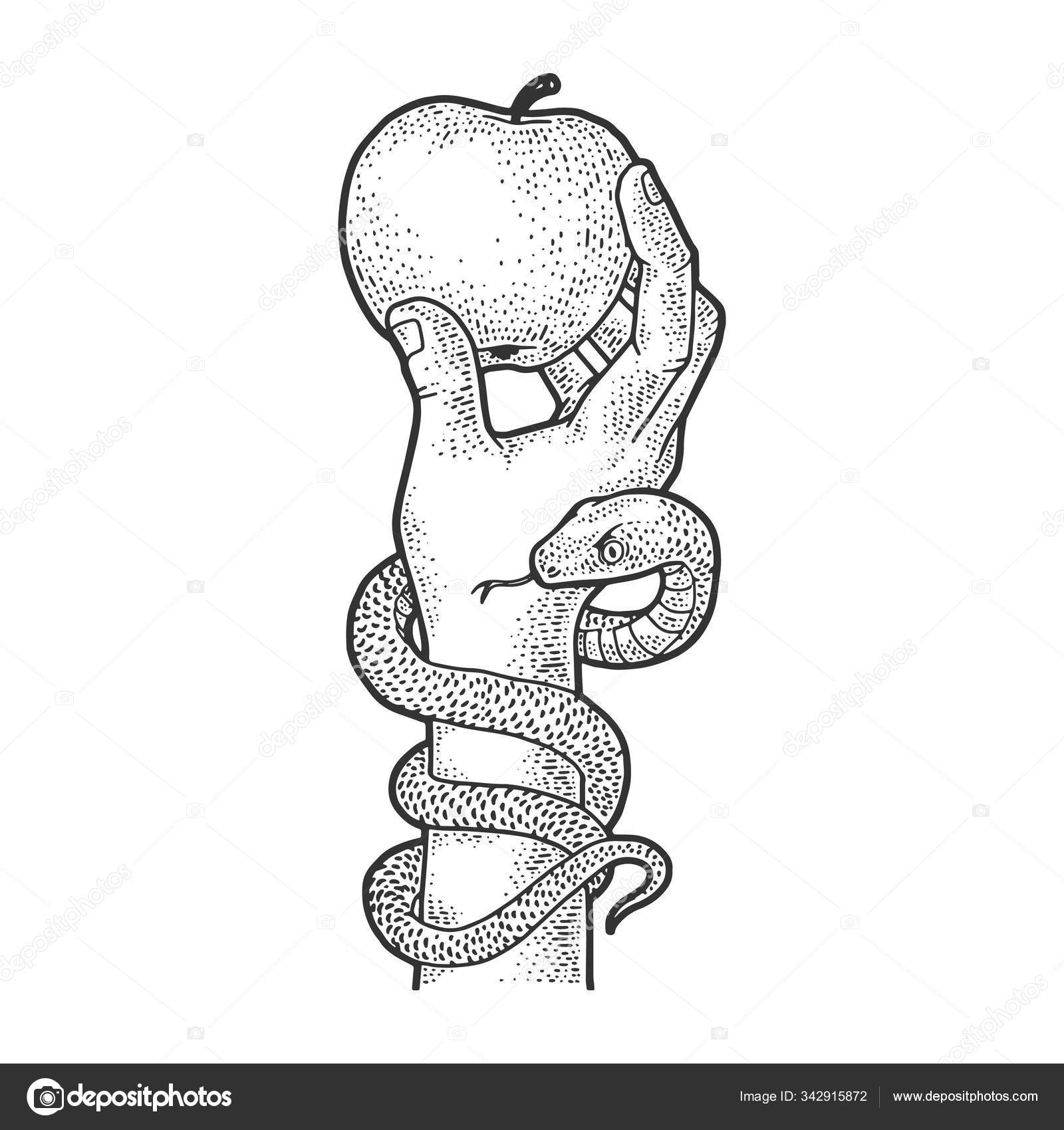 Snake And Apple Drawing