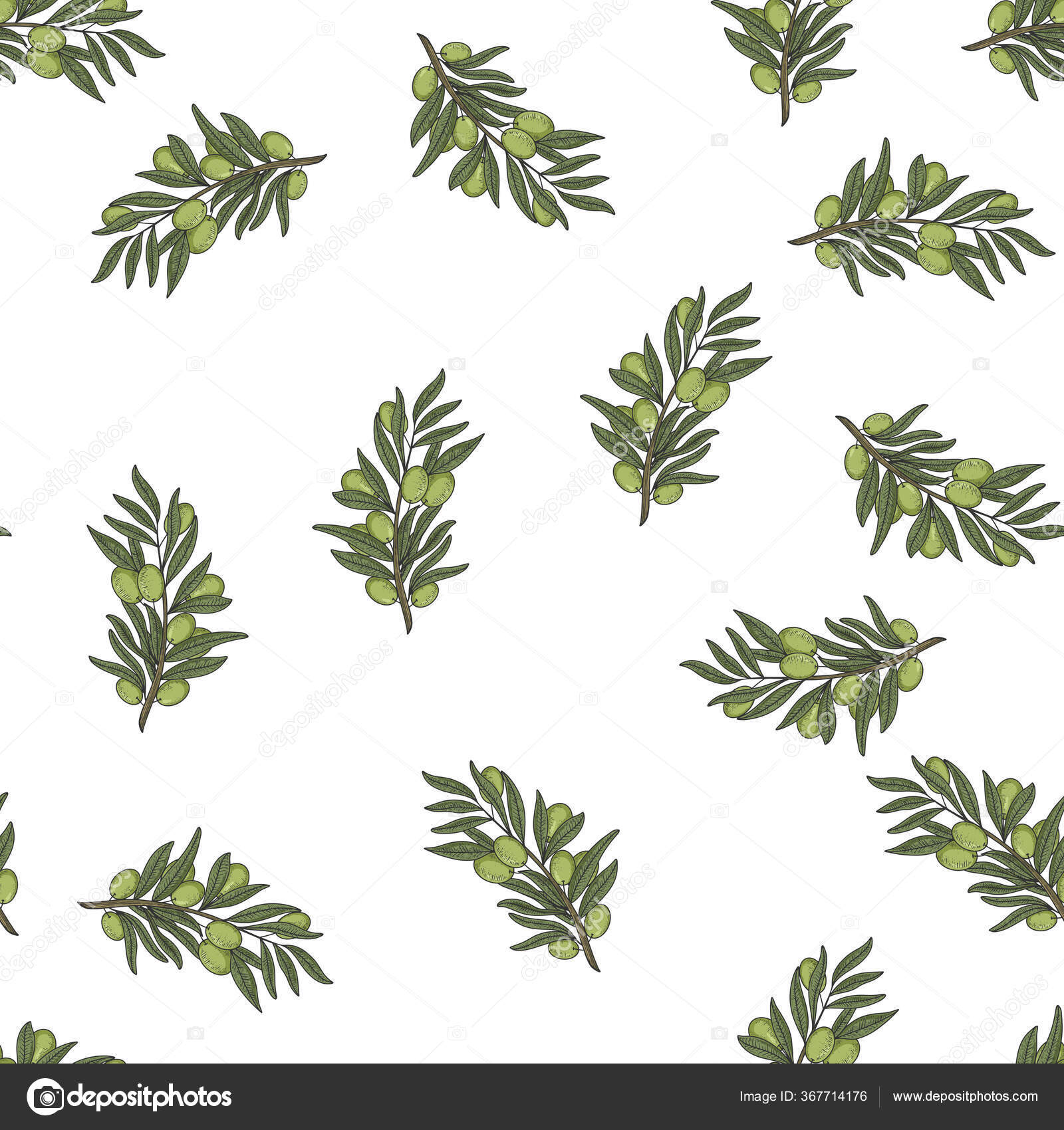Olive branch color seamless pattern background sketch engraving vector ...