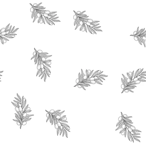 Olive branch color seamless pattern background sketch engraving vector ...