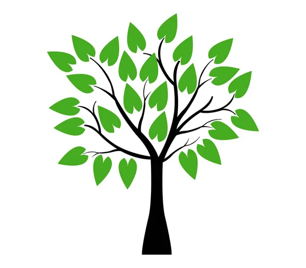Tree illustrated on a white background — Stock Vector © marcotrapani ...