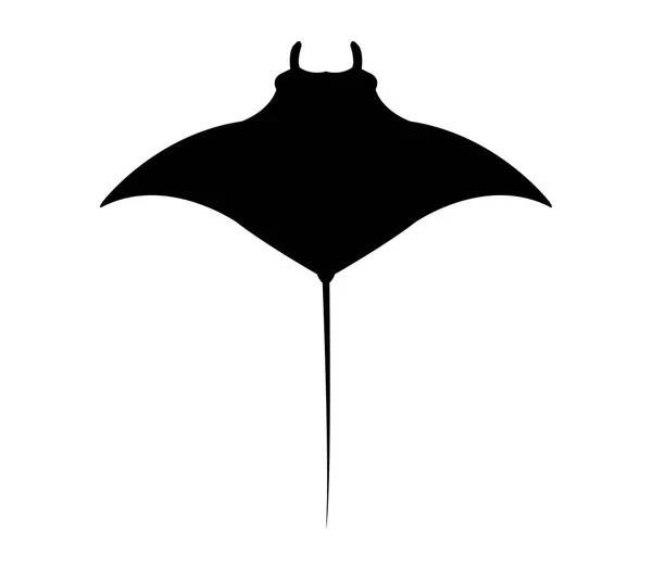 Manta Vector Art Stock Images | Depositphotos
