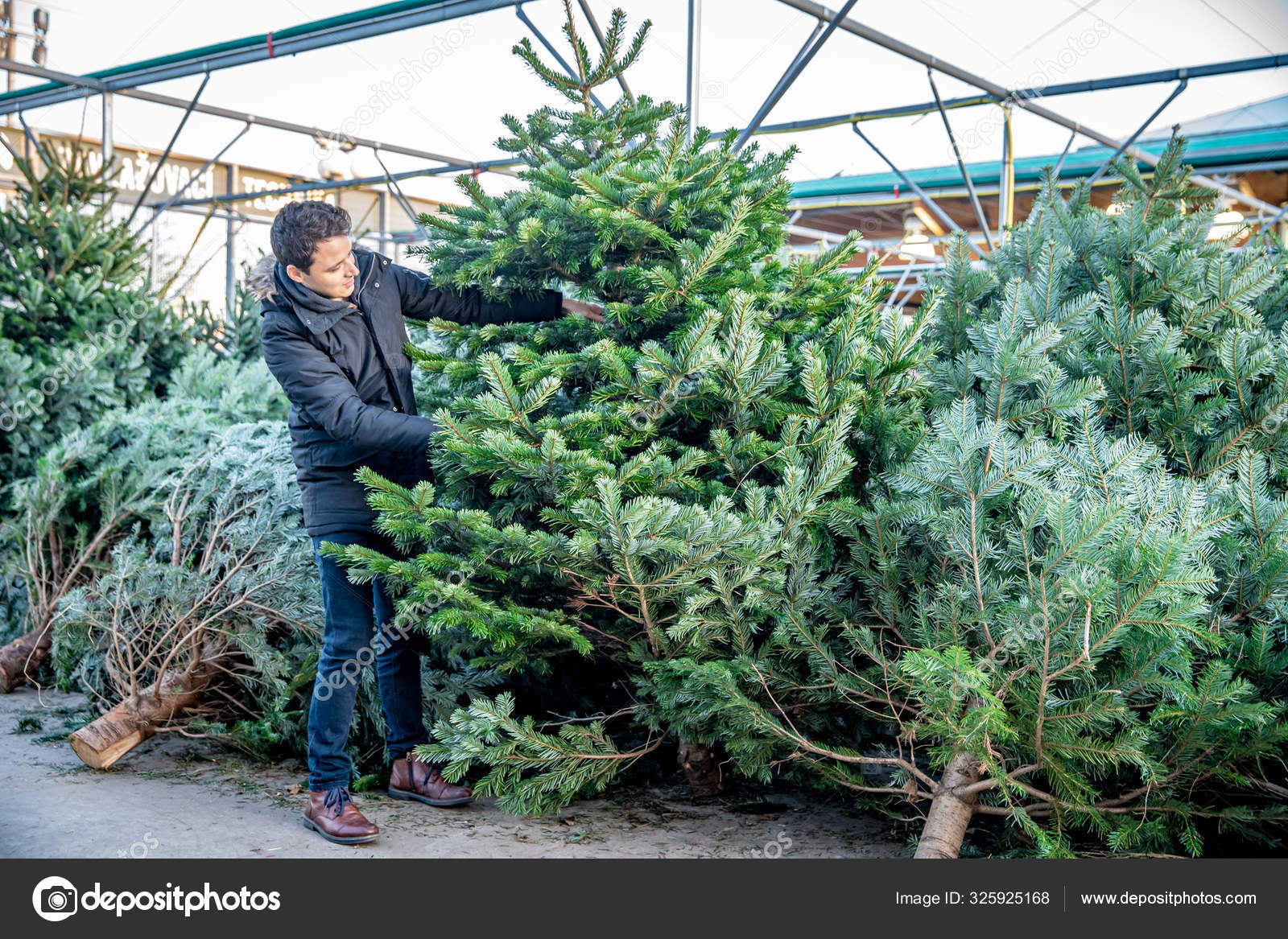 Man buys a Christmas tree in a department store Stock Photo by ...