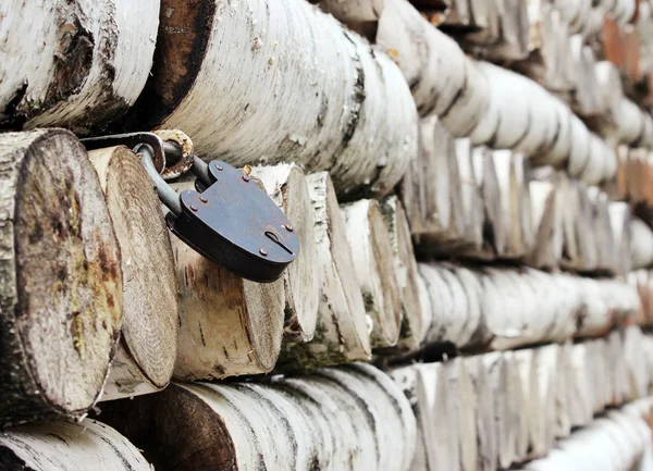 texture of birch logs stacked pattern on the walls of the house and ...