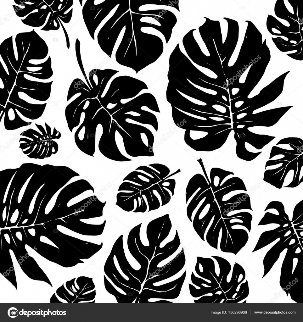 Seamless Pattern Of Monstera Deliciosa Leaves Stock Vector Image By
