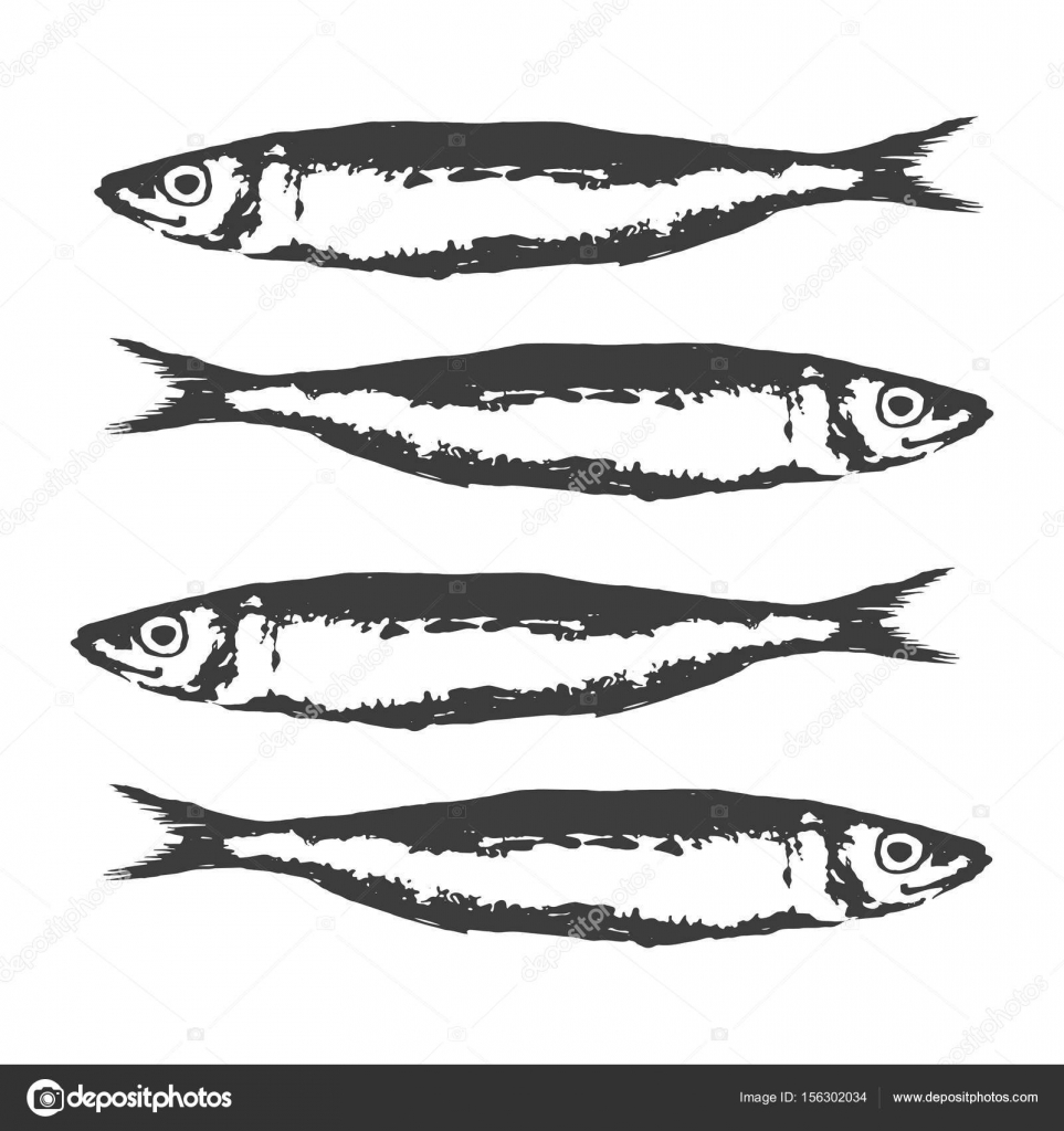 Pattern with black contoured sardines Stock Vector Image by ©johndory ...