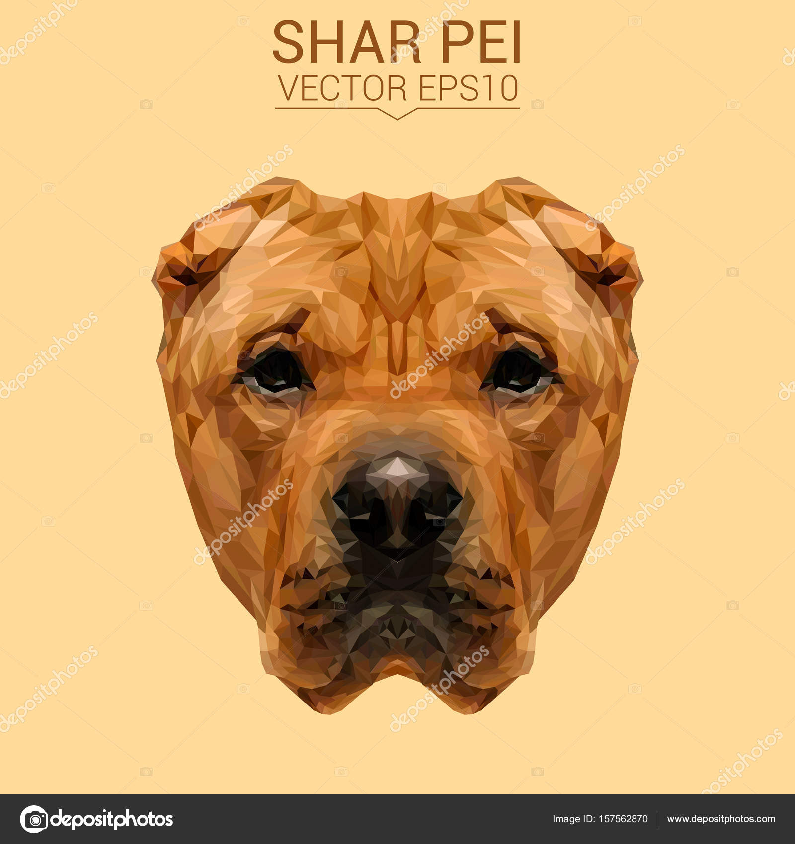 Shar pei low poly design Stock Vector Image by ©Shekularaz #157562870