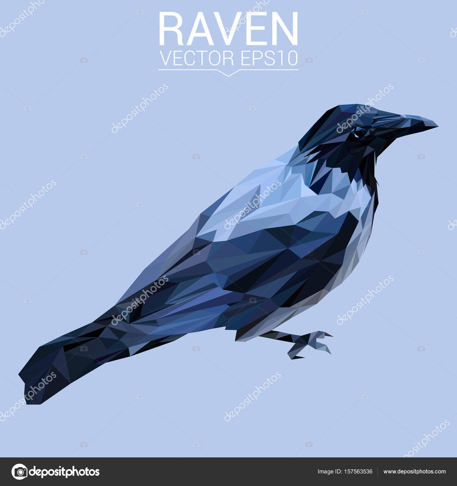 Raven bajo diseño de poli Vector de stock por ©Shekularaz 157563536