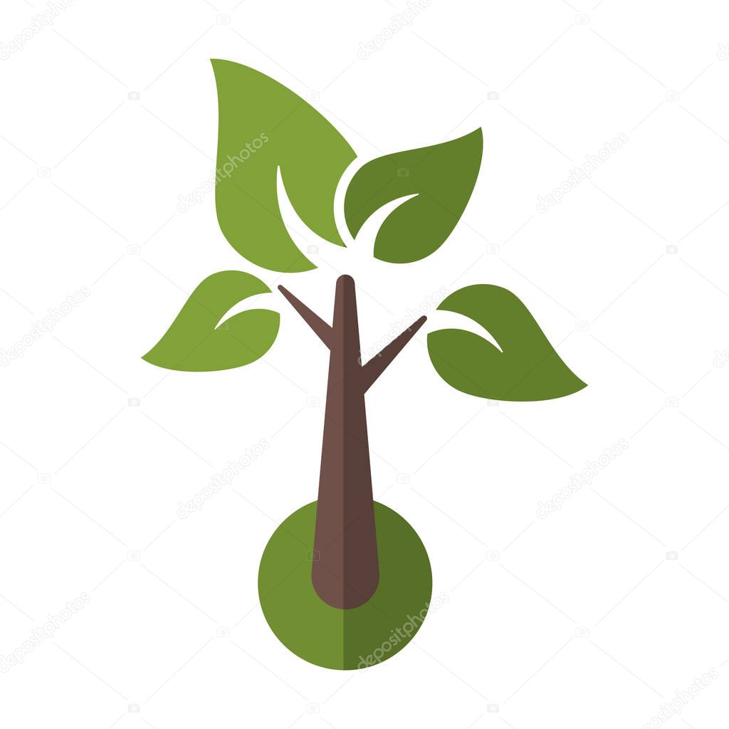 Isolated tree with leaves design Stock Vector Image by ©jemastock ...