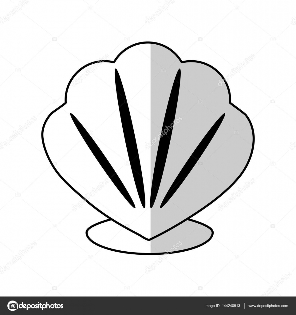 Shell icon image Stock Vector Image by ©jemastock #144240913