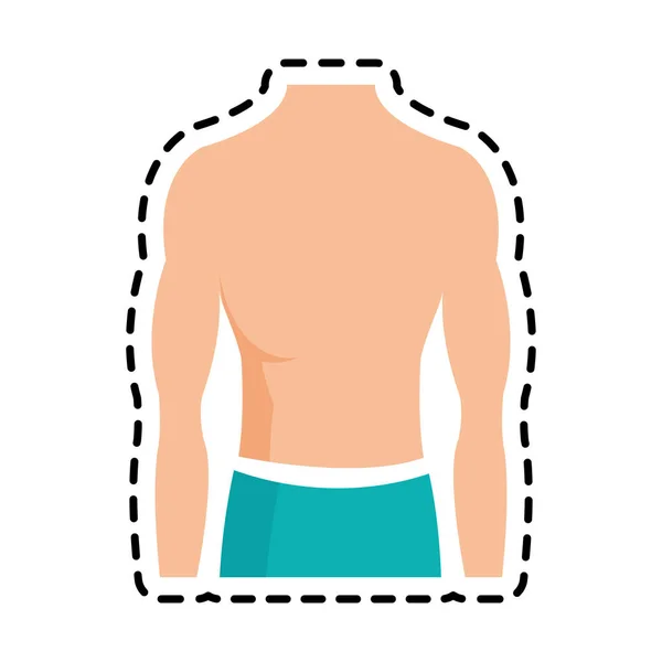 Male torso fit body icon image Stock Vector by ©jemastock 145807527