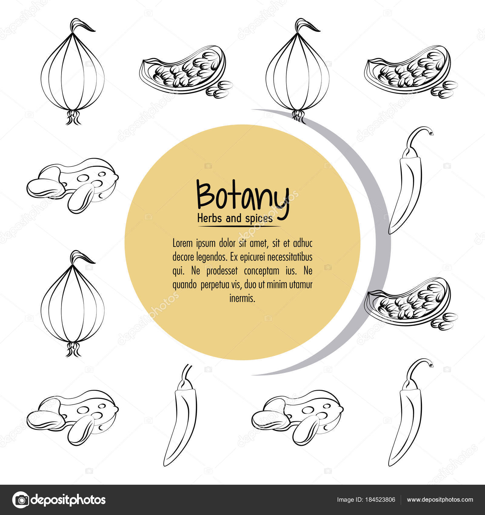 Botany herbs and spices Stock Vector by ©jemastock 184523806