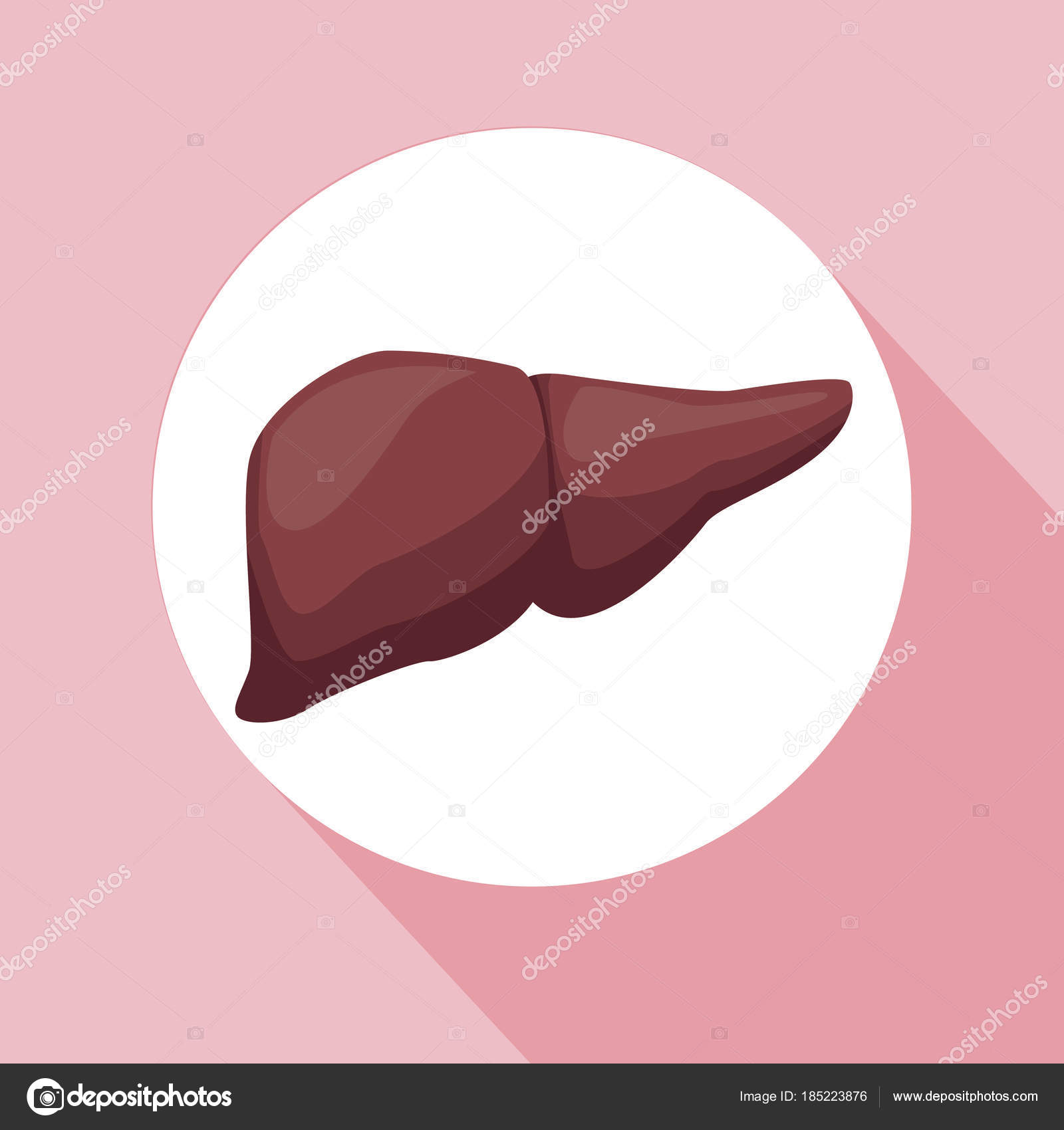 Color background with circular frame liver organ human body Stock Vector by ©jemastock 185223876