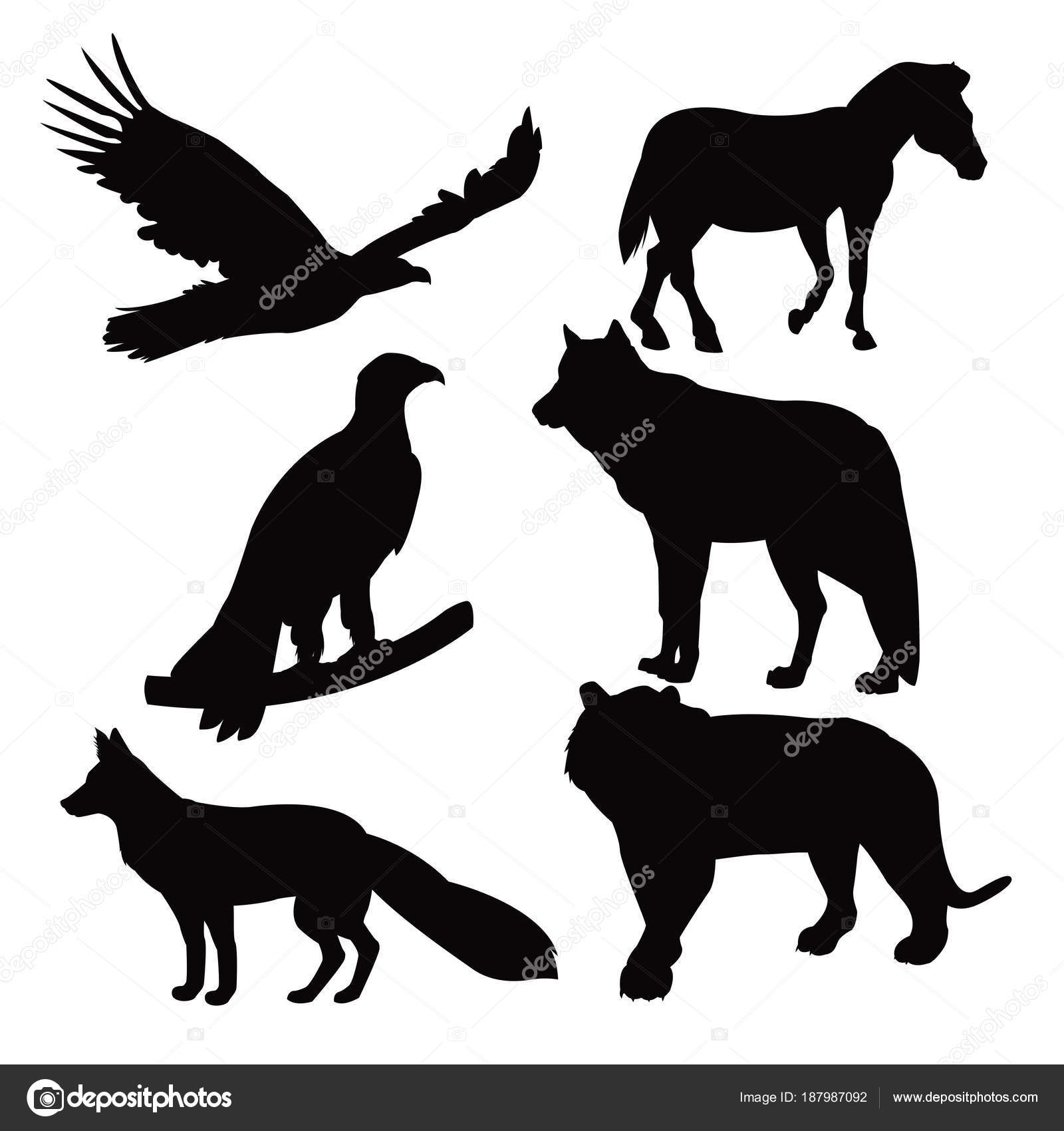 Image vectorielle Animaux sauvages sur silhouette noire par ©jemastock ...