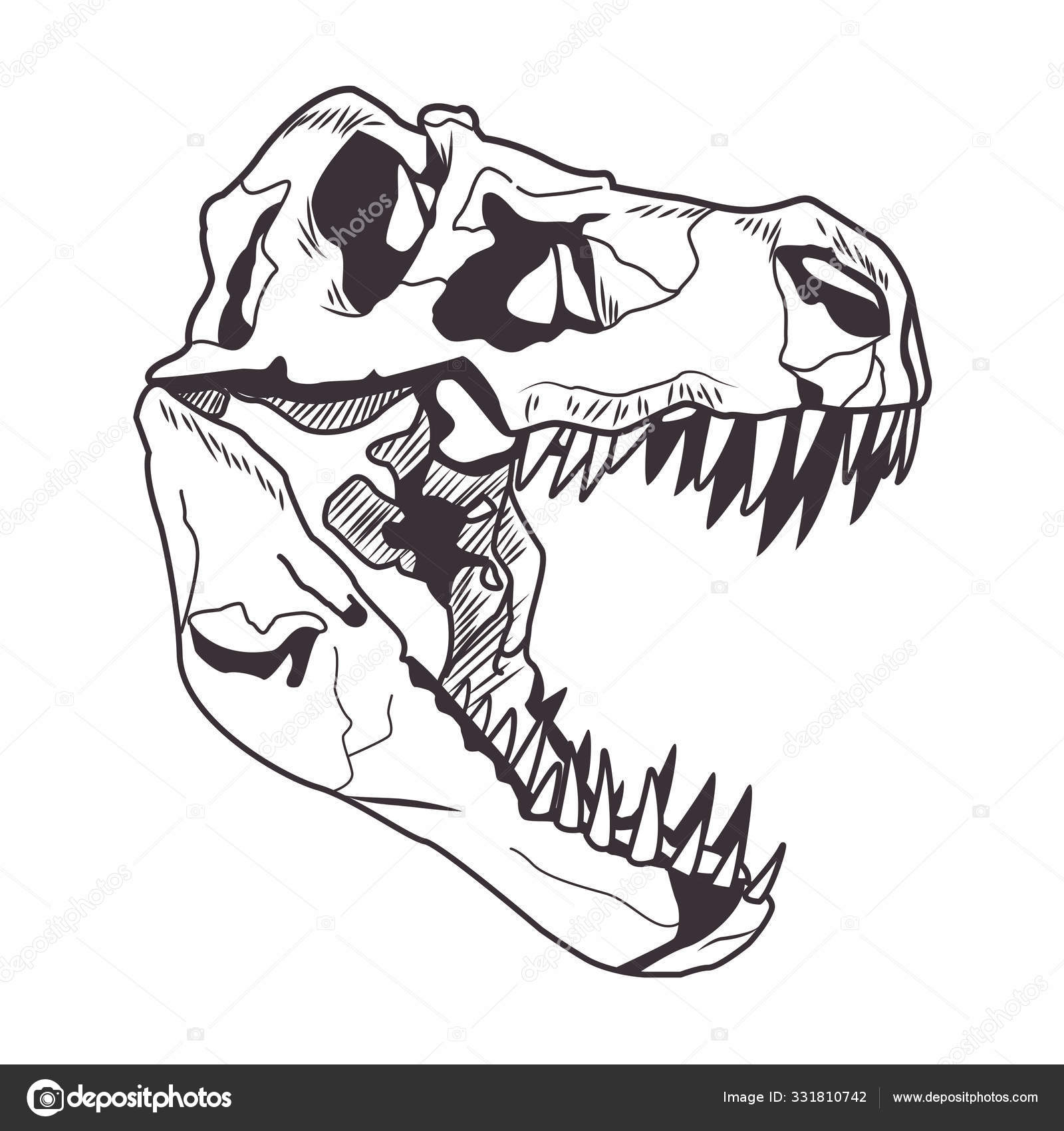 Dinosaurus Skelet Tatoeage Ontwerpen Dinosaurus Skelet Vector