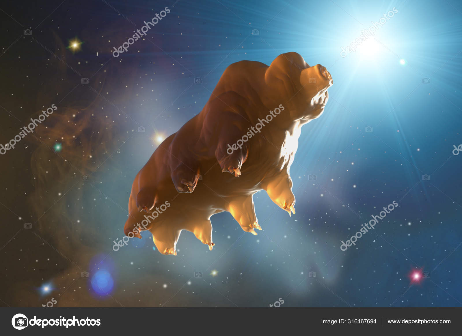 Tardigrade In Space