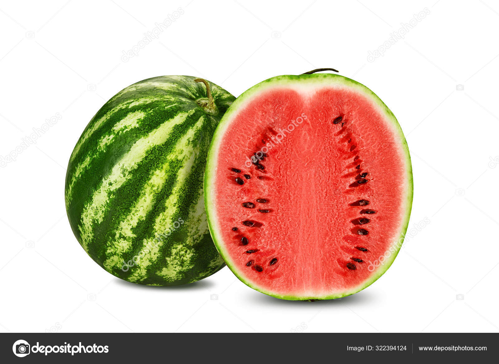 Watermelon Cross Section