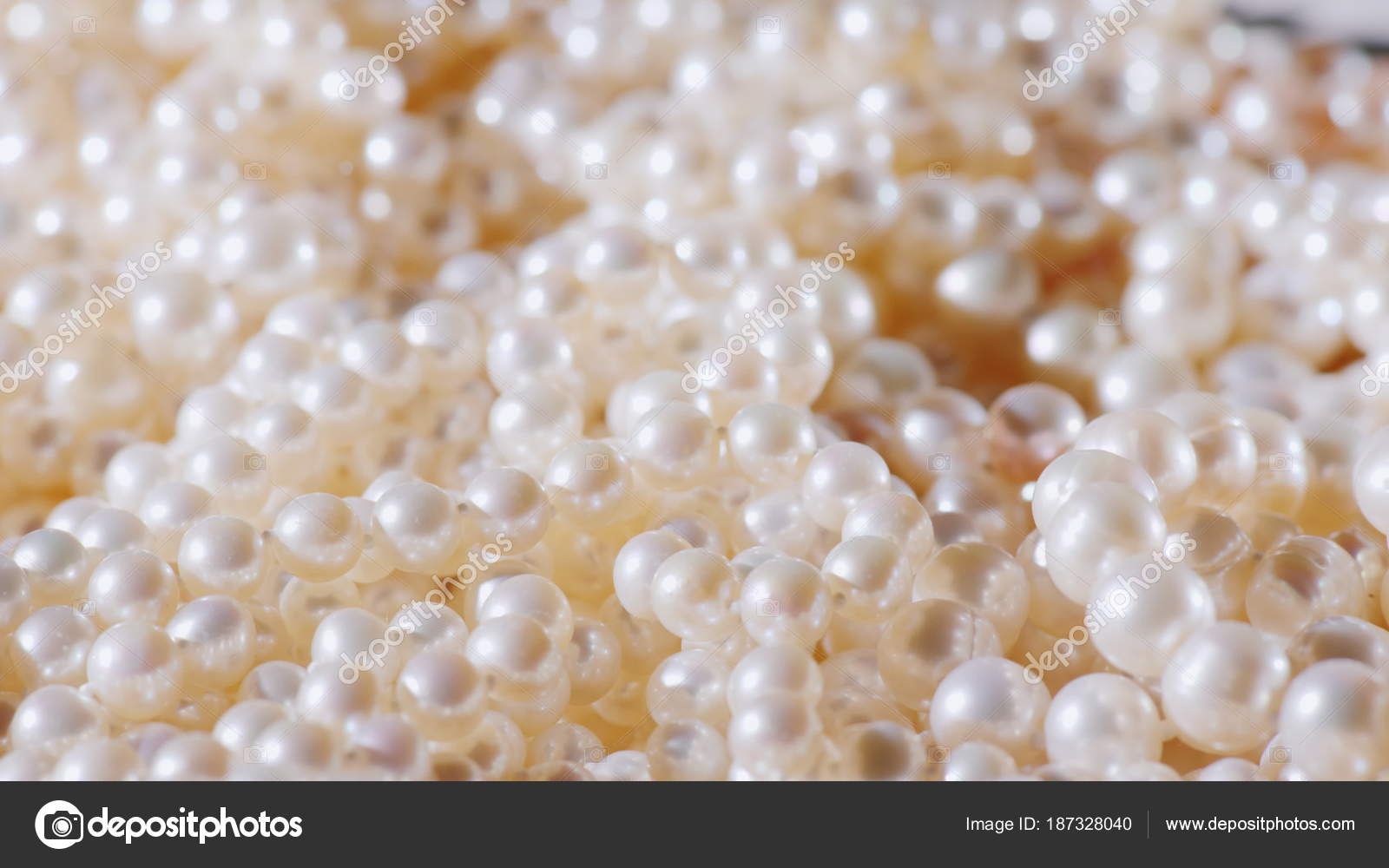 Collar de verdaderas perlas blancas de elección. Fondo de joyería ...