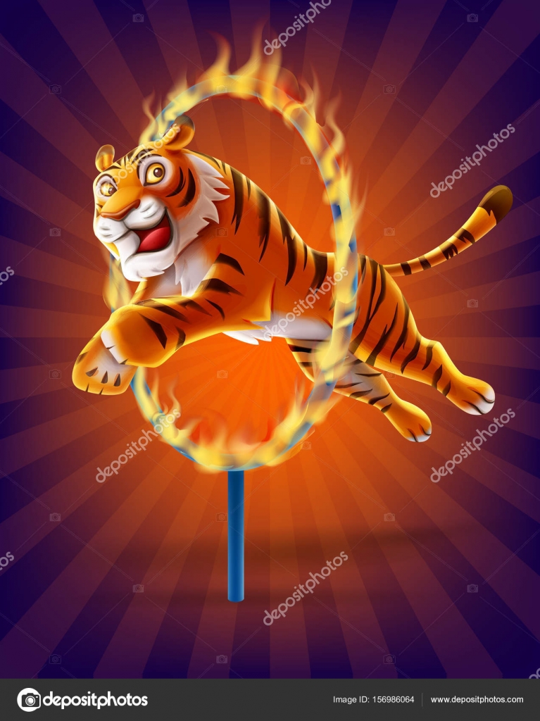 Cartoon tiger Jumping through ring of fire Stock Vector Image by ...