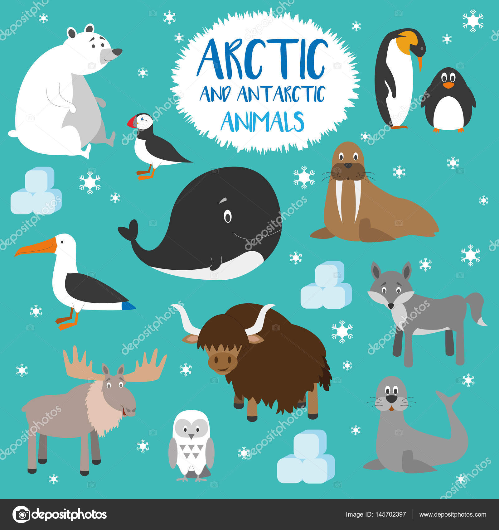 Vector illustration set of Arctic and Antarctic animals. — Stock Vector ...
