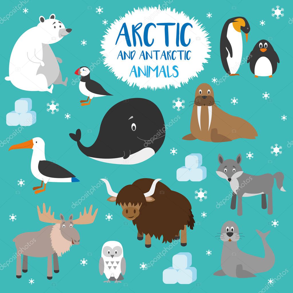 Conjunto de ilustración vectorial de animales árticos y antárticos. 2022