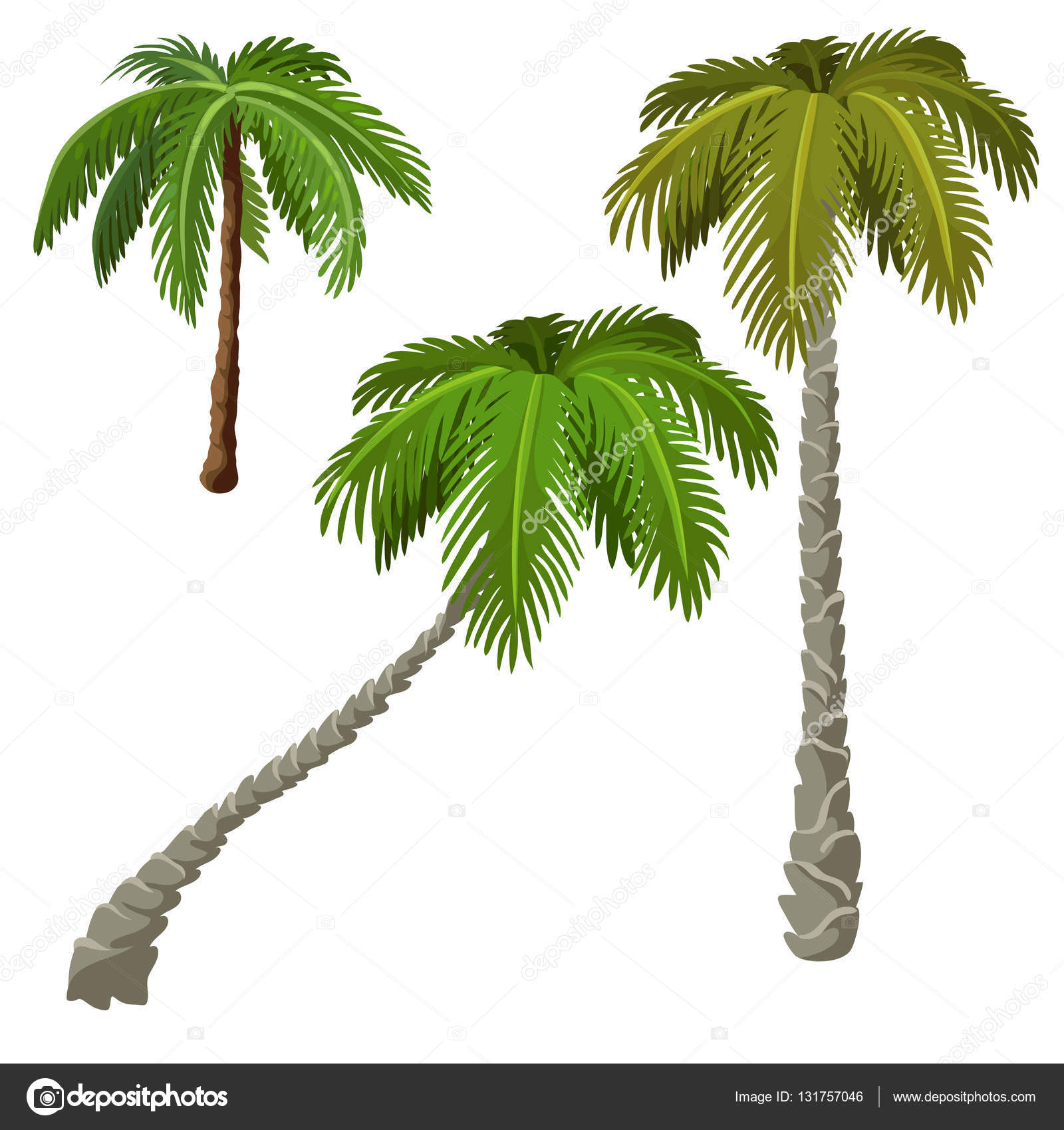 Three palm trees on a white background Stock Vector by ©Anton_Lunkov ...