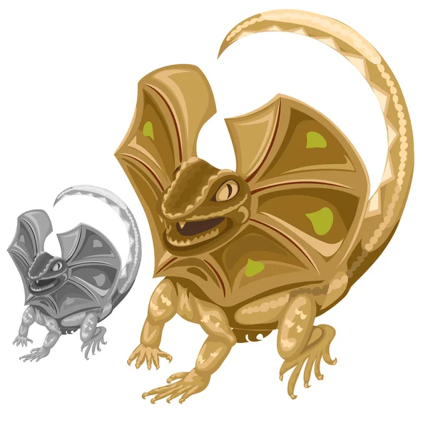 Frill neck lizard Vector Art Stock Images | Depositphotos