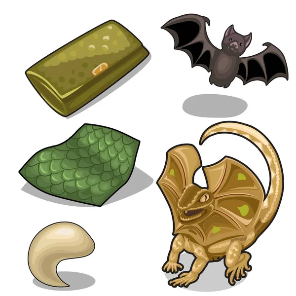 Frilled neck lizard Vector Images, Royalty-free Frilled neck lizard ...