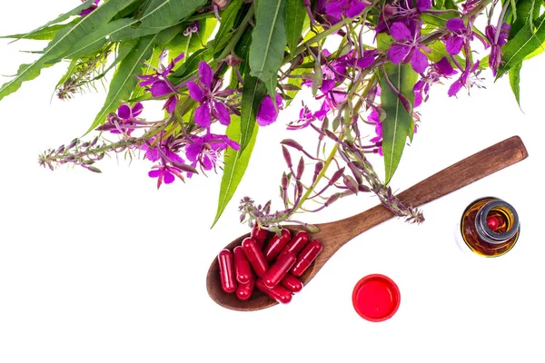 Homeopathy. Herbal capsules, medicinal plants on white backgroun ...