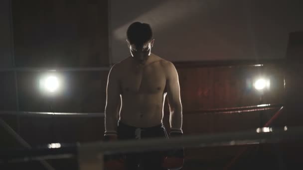 Male boxer lifts his arms to show the ring victorious from the fight ...