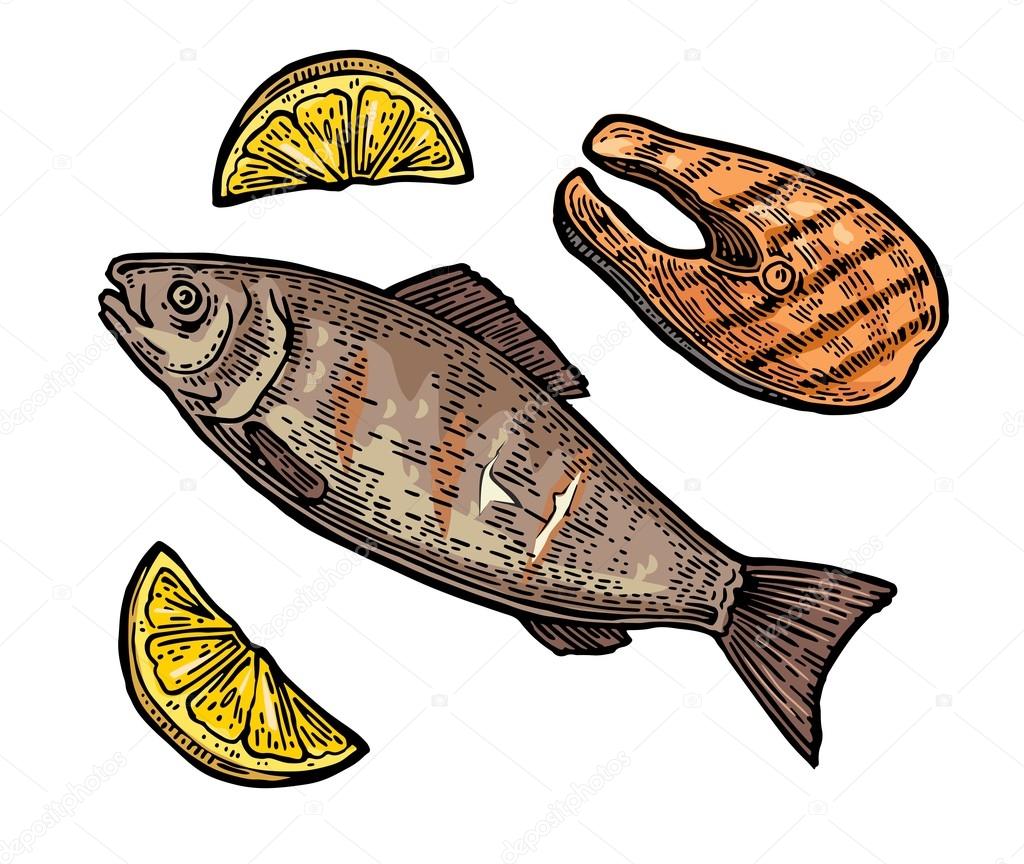 Grilled Fish Drawing