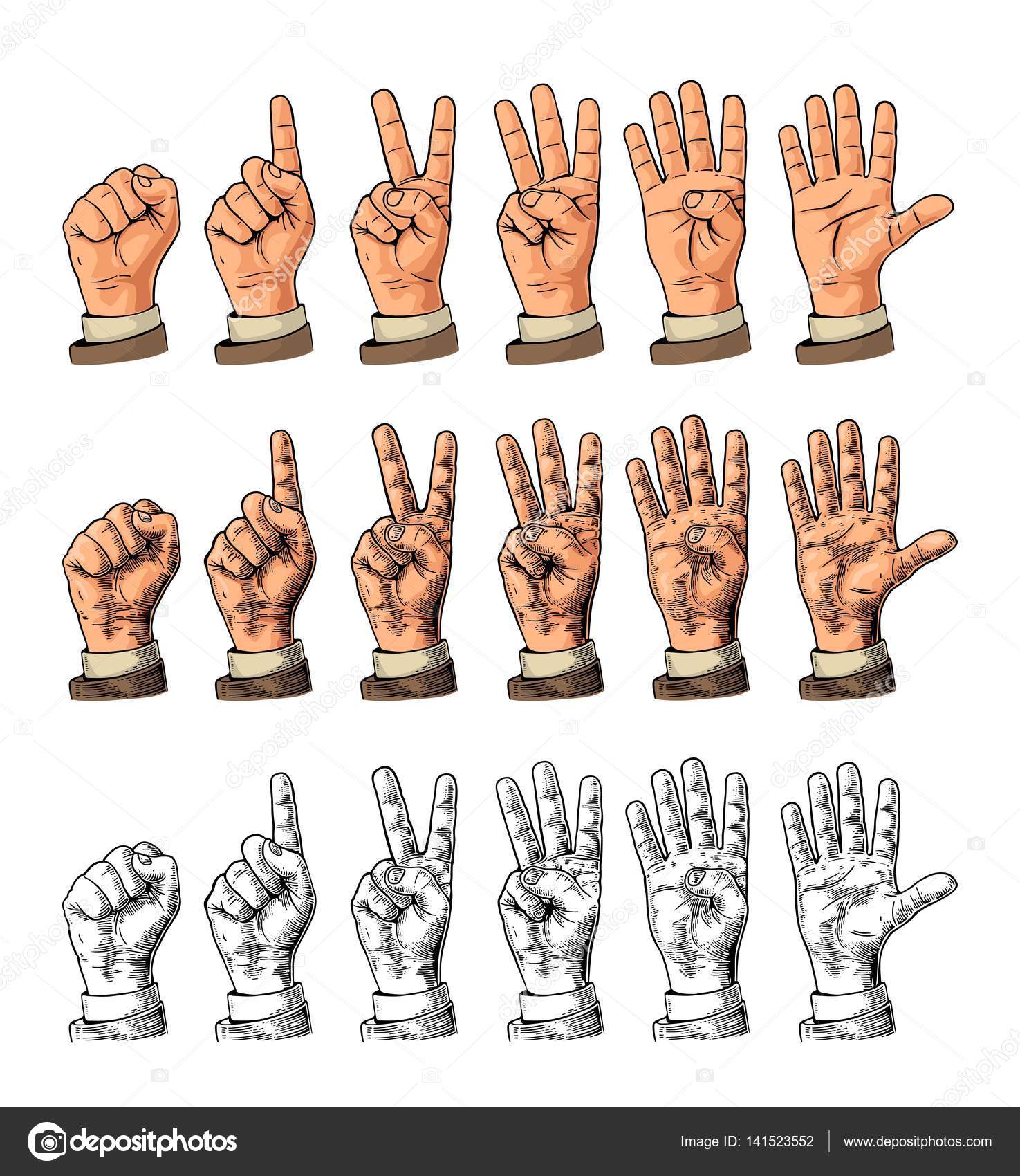 Set of gestures of hands counting from zero to five. Male Hand sign ...