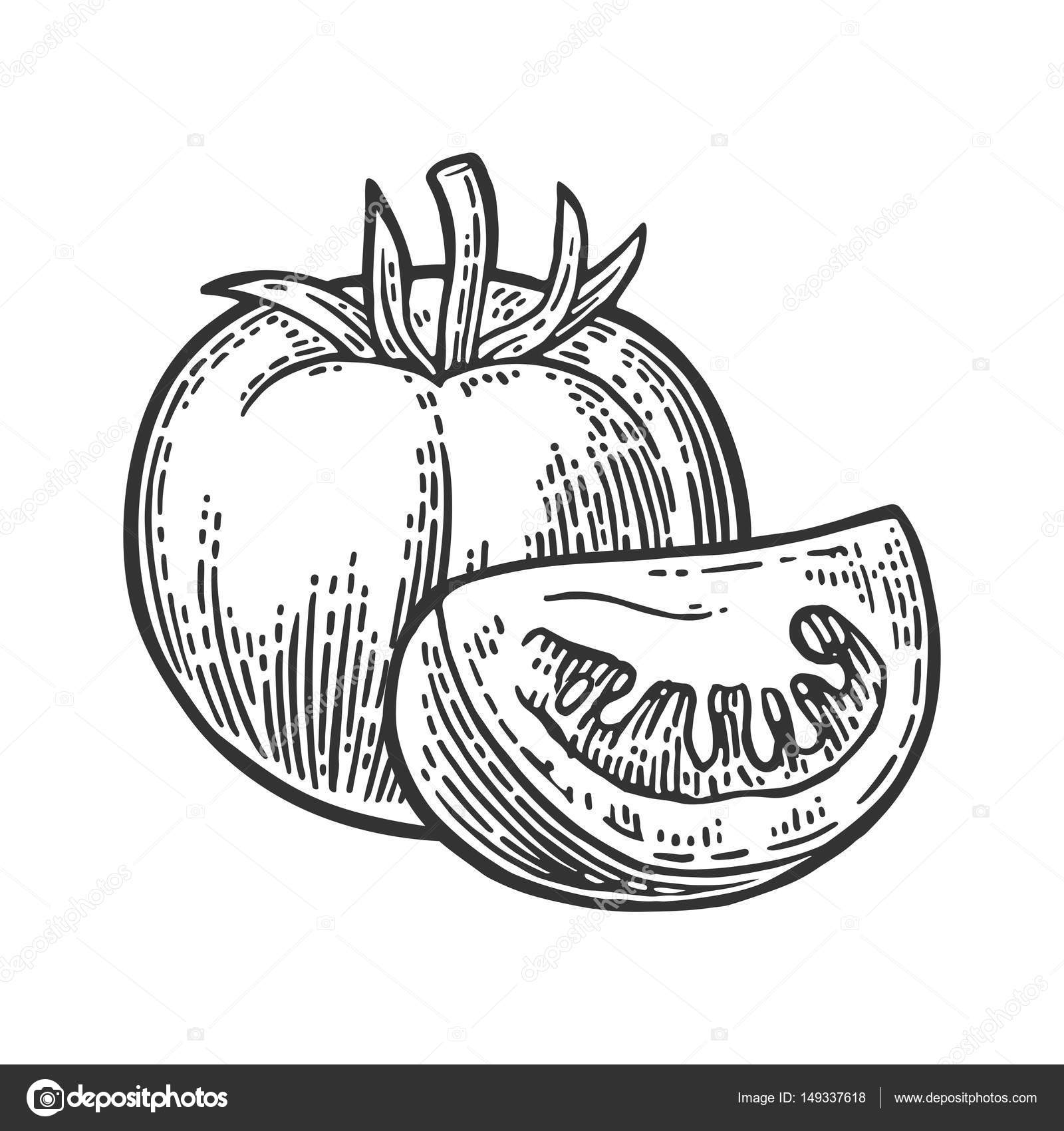 Tomato Slice Clipart Black And White