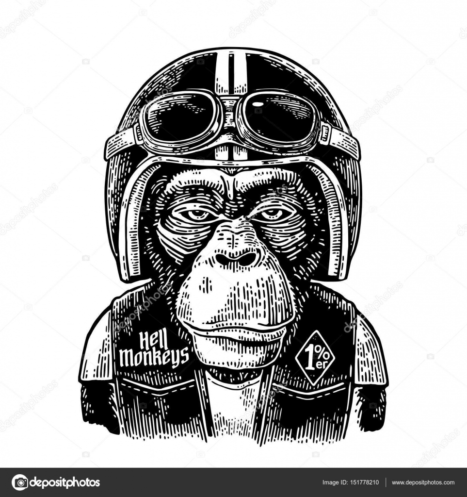 Monkey in the motorcycle helmet and glasses. Vintage black engraving ...