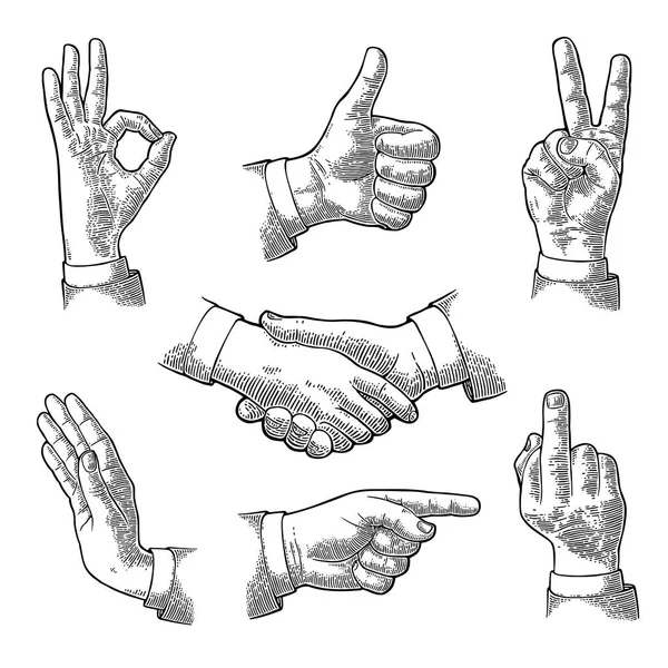 Male Hand sign. Like, Handshake, Ok, Stop, Middle finger, Victory Stock ...