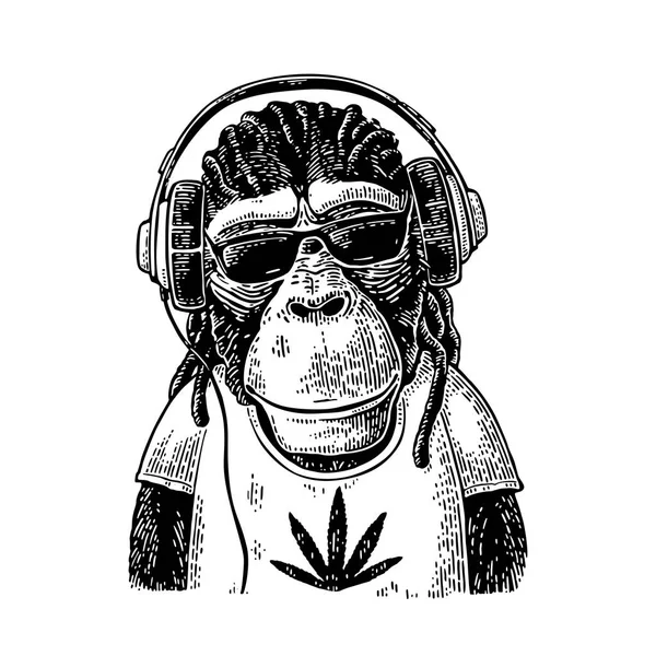Monkeys Smoking Weed