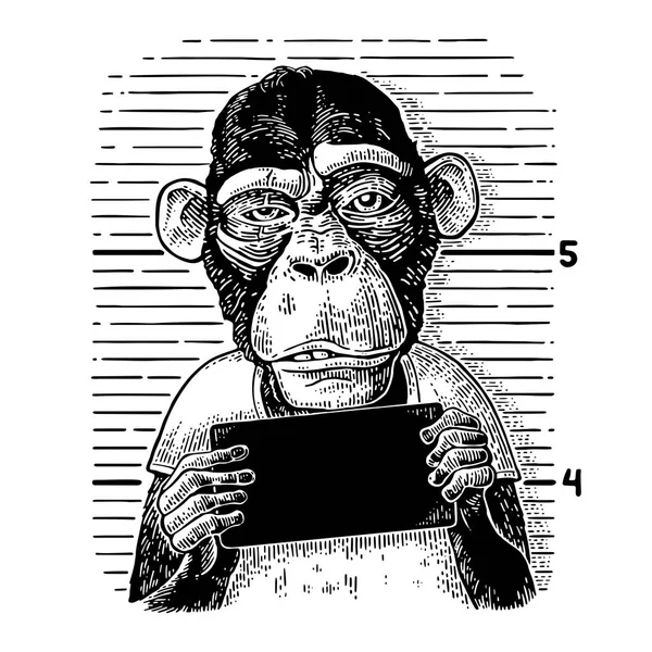 Gangster Monkey Cartoon