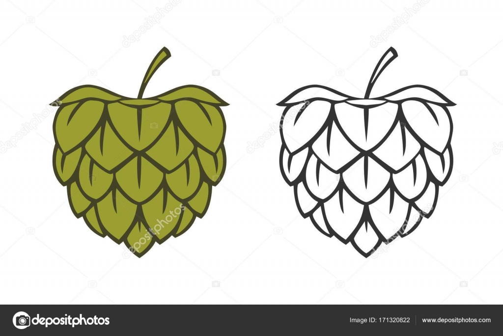 Icon hop herb plant. Vector illustration isolated Stock Vector by ...