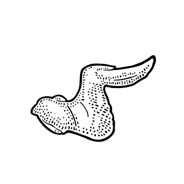 Chicken Wing Vector