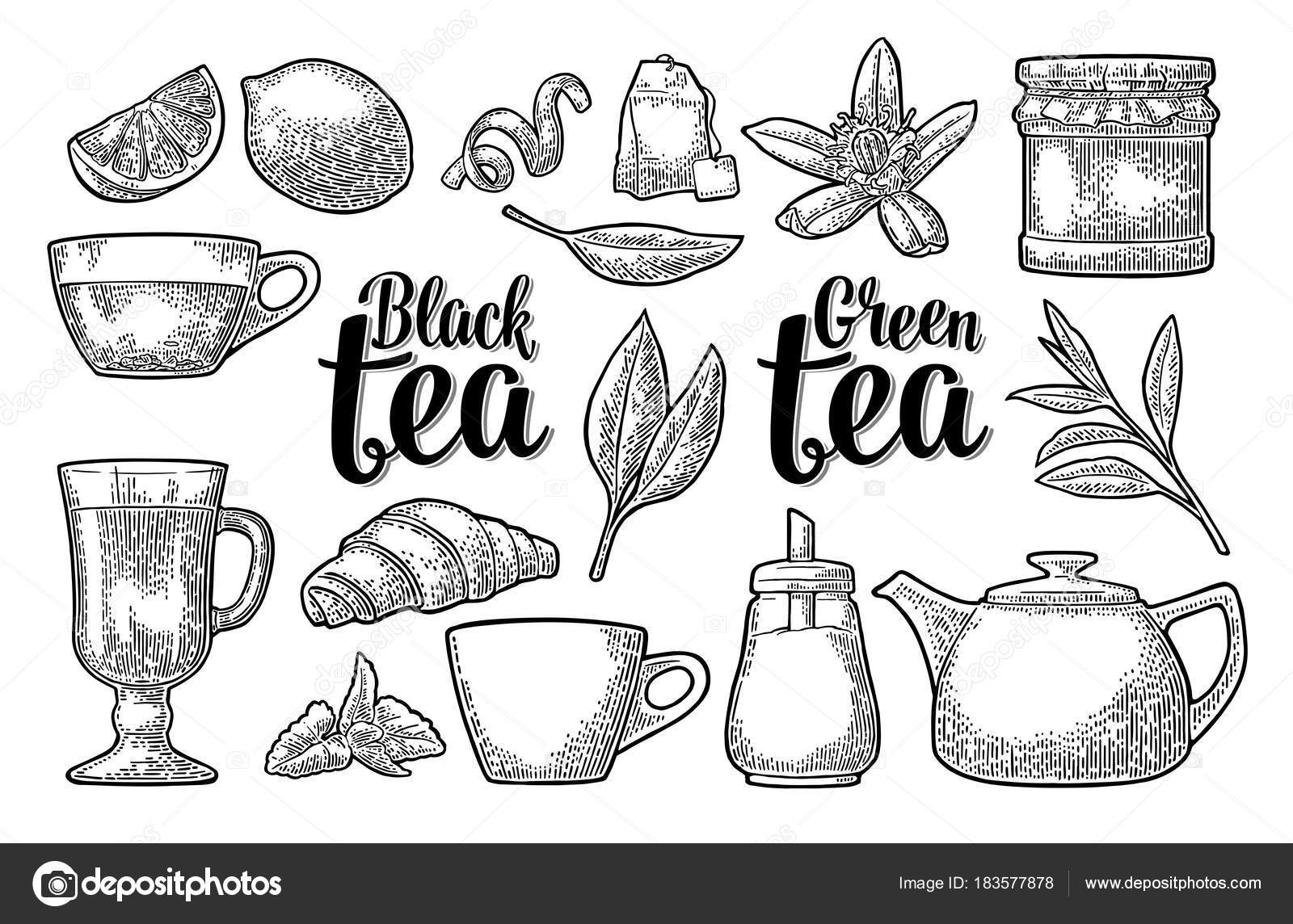 Set tea with lettering. Vector vintage engraving Stock Vector Image by ...