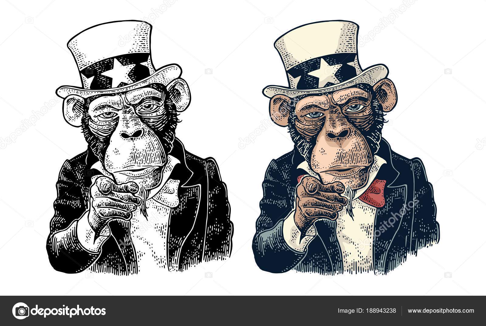 Uncle Sam Giving The Finger