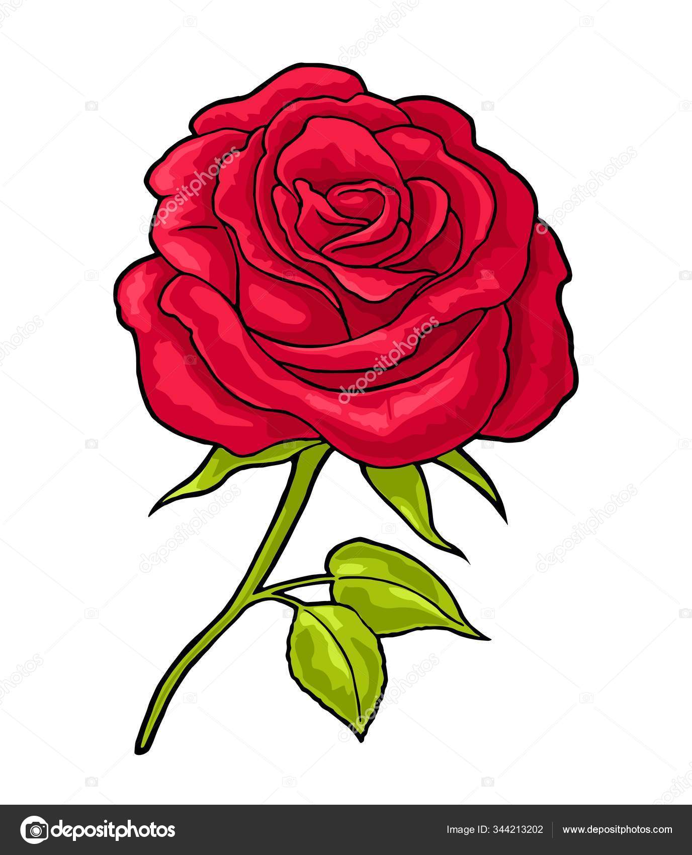 Rosa flor con hoja. Ilustración plana a color sobre blanco Stock Vector ...