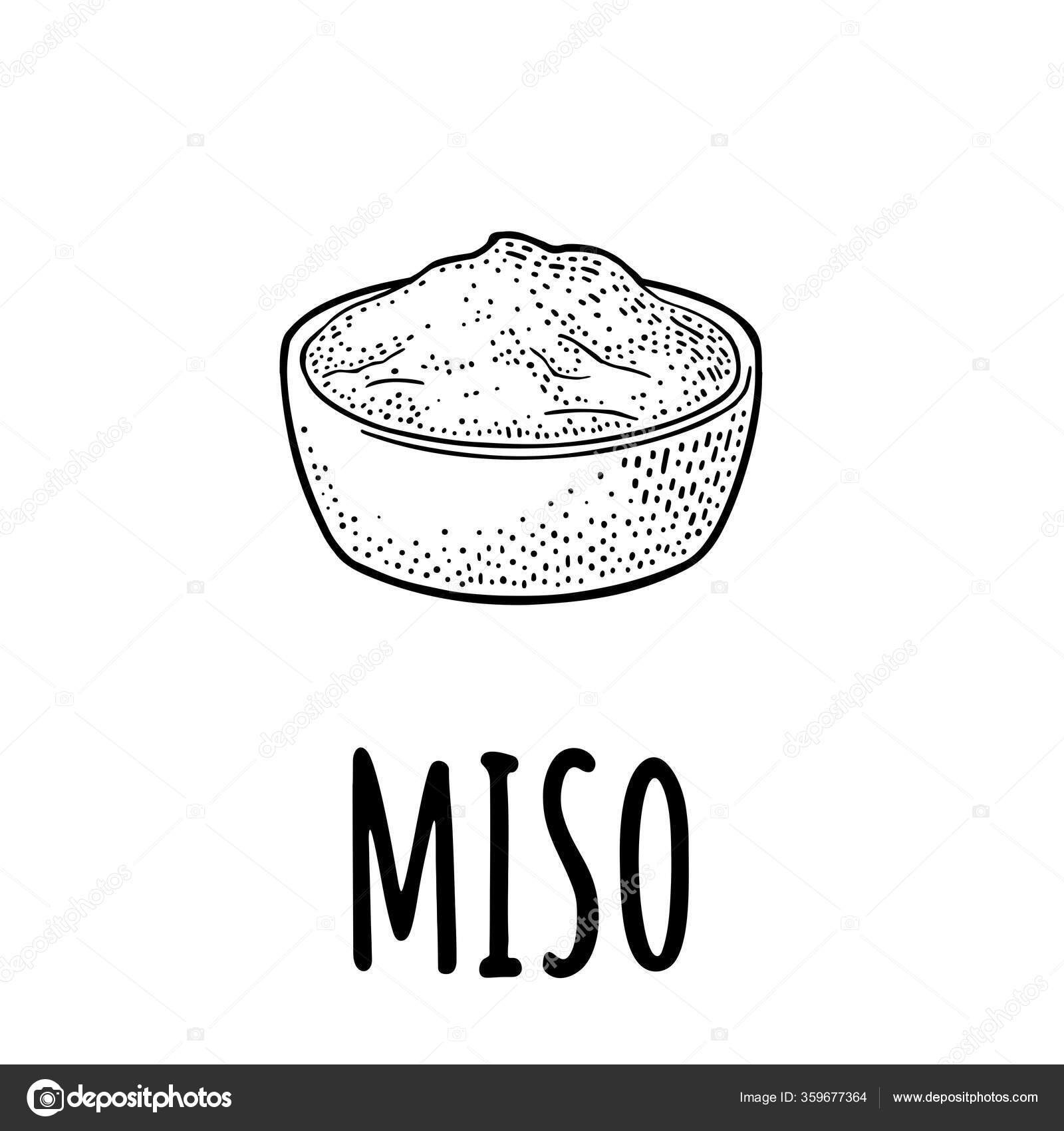 Miso. Vector black vintage engraving illustration isolated on white ...