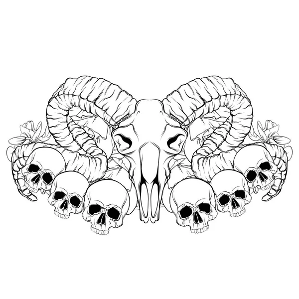 Ram Skull Line Drawing