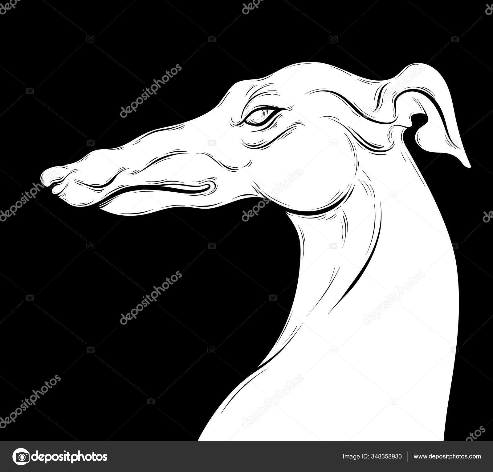Vector Hand Drawn Illustration Angry Greyhound Creative Artwork Dog's ...