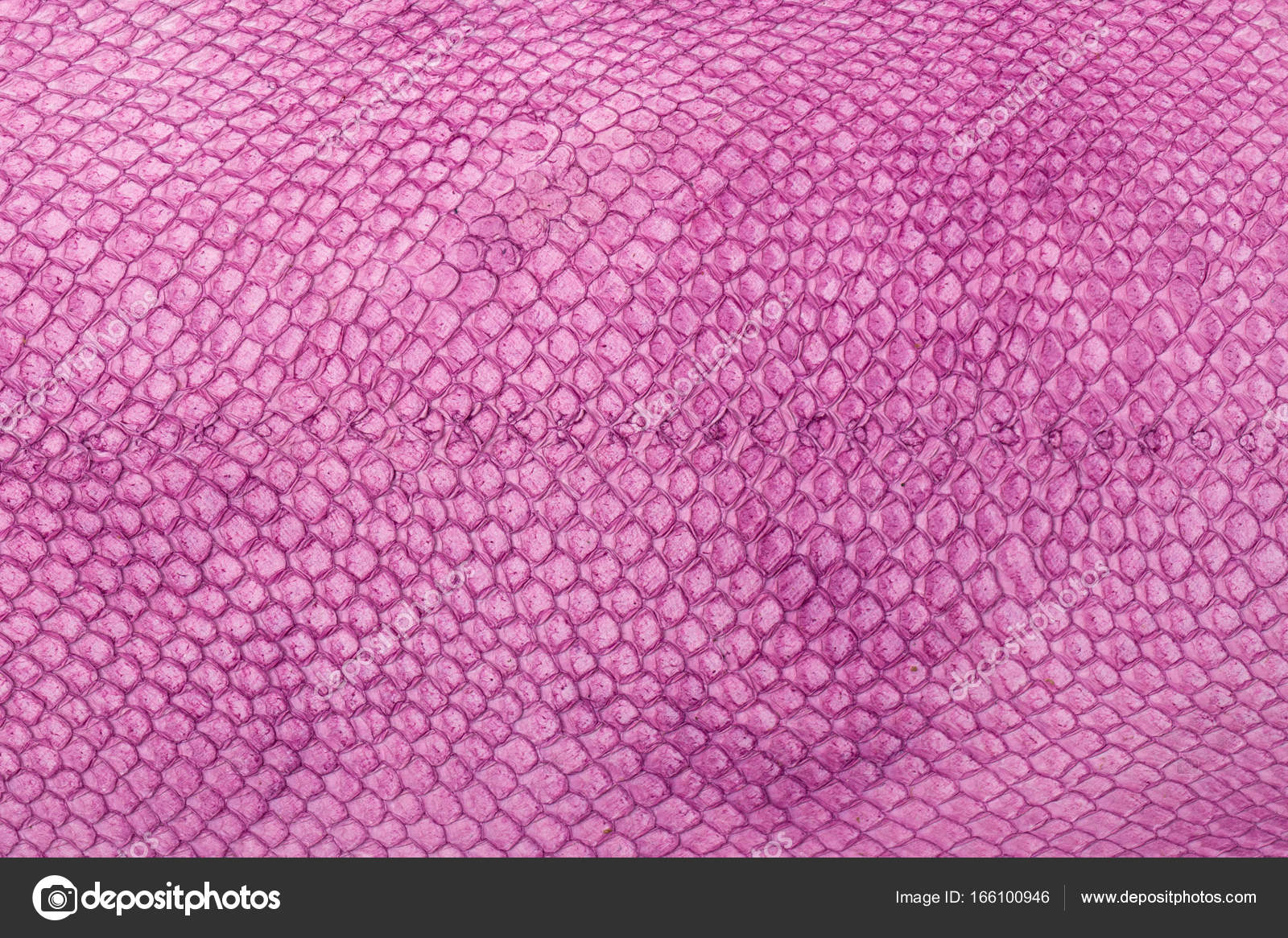 Exotic leather texture Stock Photo by ©Igishevamaria 166100946