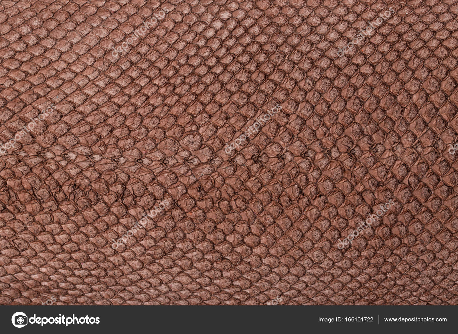 Exotic leather texture Stock Photo by ©Igishevamaria 166101722