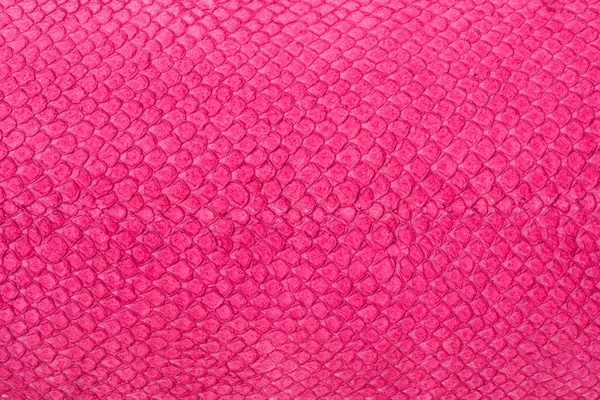 Exotic leather texture Stock Photo by ©Igishevamaria 166101722